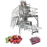 China Automatic Fruit Packing Machine Apple Cherry Tomato Canning Packing Kumquat Tray Packaging Machine for sale