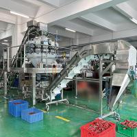 China Frankfurt Sausage Multiheads Belt Feeder for sale