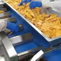 China Dried Mango Automatic Multi-Station Belt Conveyor Aquatic Sea Cucumber Fish Fillet Tabletop Target Weight Counterweight Machine for sale