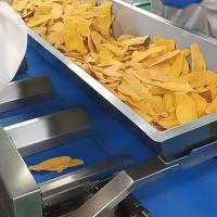 China Dried Mango Automatic Multi-Station Belt Conveyor Aquatic Sea Cucumber Fish Fillet Tabletop Target Weight Counterweight Machine for sale