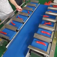 China Dried Mango Automatic Multi-Station Belt Conveyor Aquatic Sea Cucumber Fish Fillet Tabletop Target Weight Counterweight Machine for sale
