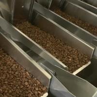 China 200g 500g 1kg 2kg Coffee Beans Auto Linear Weigher Filling Packing Machine for sale