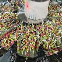 China Multi Function Automatic Jar Bottle Can Cotton Jelly Popcorn And Peanut Puffed Food Filling Machine for sale