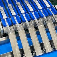China Auto Multi Lane Sachet Packing Multi Lane Track Ketchup Liquid Sachet Packaging Machines Multi Lane Honey Sachet Packing Machine for sale