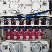 China Auto Multi Lane Sachet Packing Multi Lane Track Ketchup Liquid Sachet Packaging Machines Multi Lane Honey Sachet Packing Machine for sale