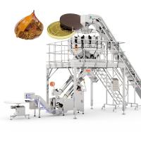 China High Quality Automatic Walnut Net Bag Clipping Packing Machine Garlic Onions Potatoes Citrus Mesh Bag Packing Machine Chocolate Coins Mesh Bag Packing Machine for sale