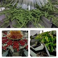 China High-Speed Automatic Pouch Salad Packaging Machinery for 14 Head Multihead Weigher Dried Fruit Packing Machine for sale