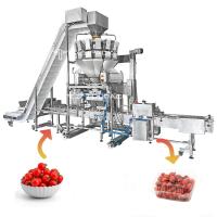 China High-Speed Automatic Pouch Salad Packaging Machinery for 14 Head Multihead Weigher Dried Fruit Packing Machine for sale
