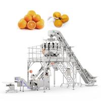 China High Speed Vertical Automatic Mesh Pocket Machine Carrot Vegetable Mesh Bag Baler Pear Automatic Nets Packing Machine for sale