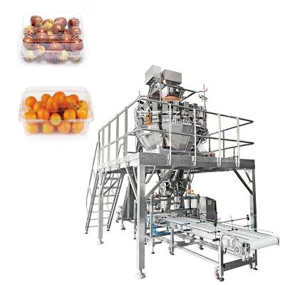 China Automatic Cherries, cherry tomatoes, blueberries Fruit Clamshell Weighing & Packaging Line for sale