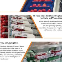 China High-Efficiency Automated Weighing & Packaging System for Cherry Tomatoes & Small Fruits for sale
