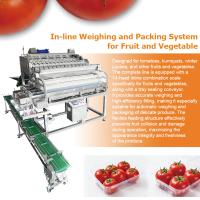 China Linear Weigher Automatic Cherry Tomato Fruit Vegetable Tray Sealing Packaging Line With High Precision Weighing System for sale