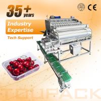 China Fruit Tray Sealing Packaging Line | With Automatic Tray Denester & Fruit Linear Weigher for sale