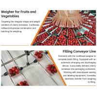 China Speed Meets Precision: The Ultimate Small Fruit Packaging Solution for sale