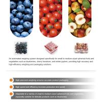 China Speed Meets Precision: The Ultimate Small Fruit Packaging Solution for sale