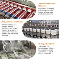 China Speed Meets Precision: The Ultimate Small Fruit Packaging Solution for sale