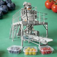 China Speed Meets Precision: The Ultimate Small Fruit Packaging Solution for sale