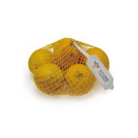 China Automatic Net Clipping Machine Mesh Bag Packaging Machine for Onions Potatoes Citrus Fruits Avocados Apples Kiwis Tomatoes and Fresh Produce for sale