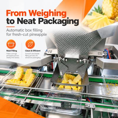 China Automatic Fresh-Cut Fruit Packing Line with Tray Denesting Machine for sale