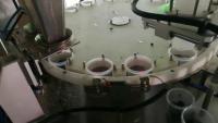 China Chocolate Ball Counting Weighing Bottle Capping System 20 Head Weigher for sale