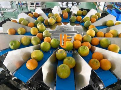 China SUS304 Fruit Multihead Weigher Custom Feeding Belt For Avoiding Damaged for sale
