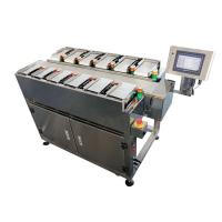China 40WPM 12 Head Belt Frozen Fishes Multihead Weigher for sale