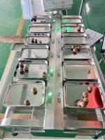 China 12 Head Belt Frozen Fishes Multihead Weigher SUS Water Proof 40WPM for sale