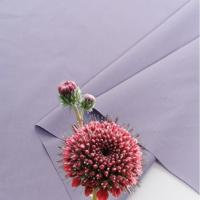 China This 100% Polyester Poplin is made from 75D × 75D yarns at 110 GSM and woven in a high-density construction for sale