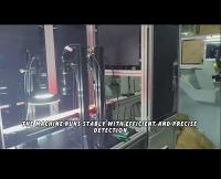 China Batch Head Belt Visual Inspection Machine 100-600Pcs/Min Smooth Conveying High Stability Sorter for sale