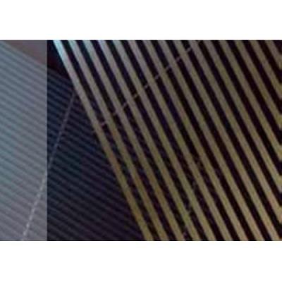 China Slot Sieve Fine Flat Wedge Wire Screen Panels For Mechanical Separation for sale