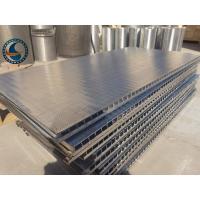 China Ss 316l 1.0mm Slot Wedge Wire Screen Panels Support Grid For Carbon Filters for sale