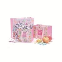 China Mini Paper Gift Bags With Handles Nylon Matte Finishing Custom Company Logo for sale