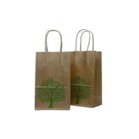 China Laminated 250g Printed Paper Bags with Handle Custom Printed Recyclable for sale