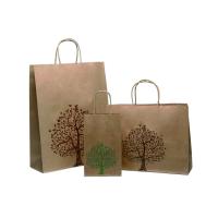 China Laminated 250g Printed Paper Bags with Handle Custom Printed Recyclable for sale