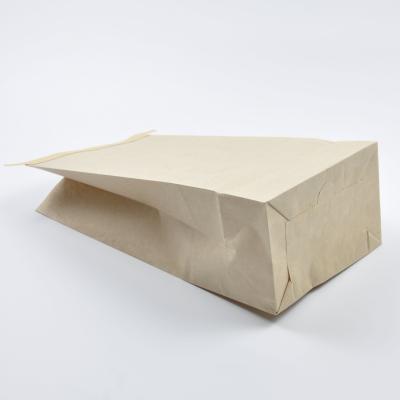 China Kraft Stand Up Zip Brown Kraft Paper Bags Dried Food Pack for sale