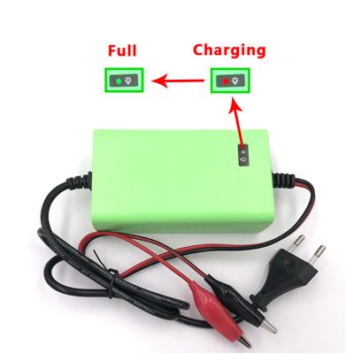 China 12 Volt 2 AMP Kids Auto Motor Lead Battery Charger 7AH 8AH 10AH 12AH 15AH 17AH for sale