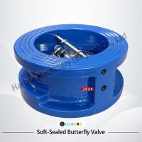 China Direct Supply from DH77X-10 Wafer Connection Check Valve with Cast Iron Structure for sale