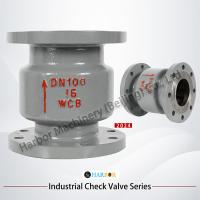 China H42H-16/25C Cast Steel Vertical Single-Direction Flanged Check Valve with OEM Support for sale