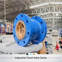 China H42H-16/25C Cast Steel Vertical Single-Direction Flanged Check Valve with OEM Support for sale