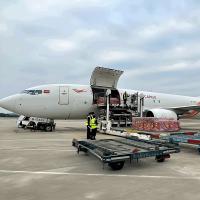 China Air Freight Forwarder From China To Canada , Reliable International Shipping Agent for sale