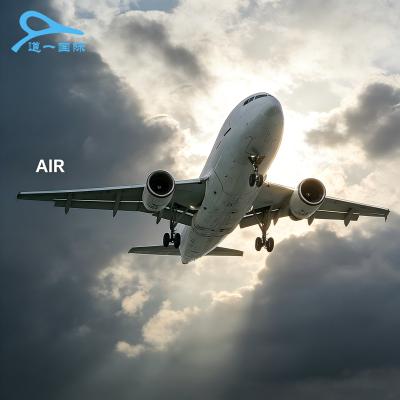 China Germany Amazon FBA Special Line with Multiple Shipping Options, Smooth EU Customs Clearance, and Real-time Tracking for Cross-border Logistics for sale