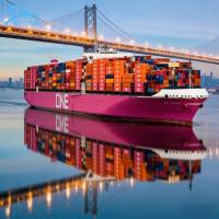 China Sea Freight From China To Australia General Goods Freight Services With Scheduling for sale