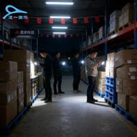 China Germany Amazon FBA Special Line with Multiple Shipping Options, Smooth EU Customs Clearance, and Real-time Tracking for Cross-border Logistics for sale