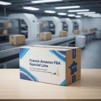 China France Amazon FBA Special Line with Flexible Shipping Modes Professional EU Customs Clearance and Full FBA Warehouse Coverage for French Market Logistics for sale