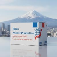 China Japan Amazon FBA Special Line with Flexible Shipping Modes, Professional Customs Clearance, and Full FBA Warehouse Coverage for sale