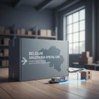 China Belgium Amazon FBA Special Line with Flexible Shipping Modes, Professional EU Customs Clearance, and Full FBA Warehouse Coverage for sale