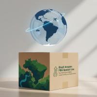 China Brazil Amazon FBA Special Line with Flexible Shipping Modes, Professional Brazilian Customs Clearance, and Full FBA Warehouse Coverage for sale