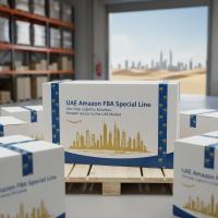 China UAE Amazon FBA Special Line with Flexible Shipping Modes, Professional UAE Customs Clearance, and Full FBA Warehouse Coverage for sale