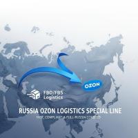 China Russia Ozon FBO/FBS Special Line with Flexible Shipping Modes Professional Customs Clearance and Full Warehouse Coverage for sale