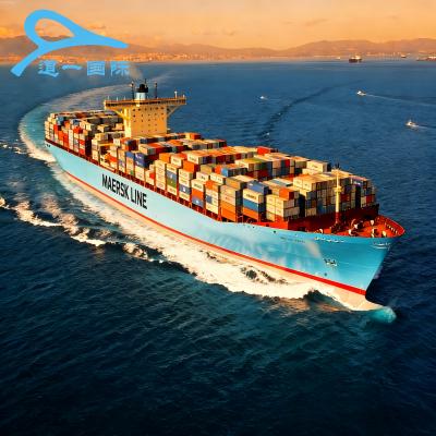 China Italy Sea Freight DDP Shipping with Double Clearance Tax-Included Door-to-Door Service for sale